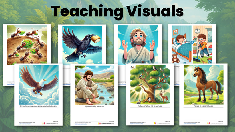 Animal Kingdom PreK 4-Week Preschool Curriculum (ages 3-5) – Sunday ...
