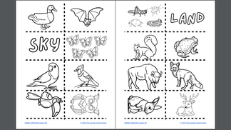 Animal Kingdom: 4-Week Children's Ministry Curriculum (ages 6-12 ...
