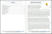 New Heaven and New Earth (Revelation 21:1-7 ) Printable Bible Lesson ...